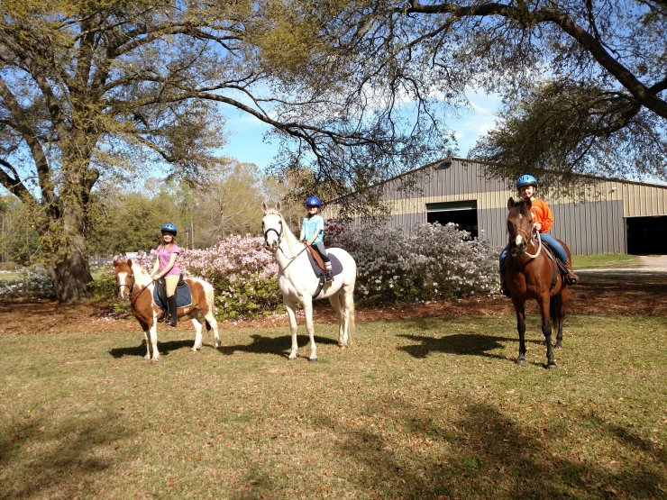 Riding Program – Legacy Equestrian, LLC